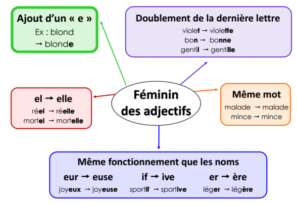 Le féminin de l'adjectif | Le féminin des adjectifs, Adjectifs ...